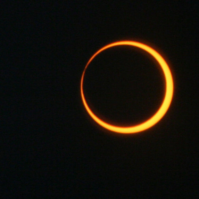 Solar Retinopathy: Understanding the Dangers of Staring at a Solar Ecl